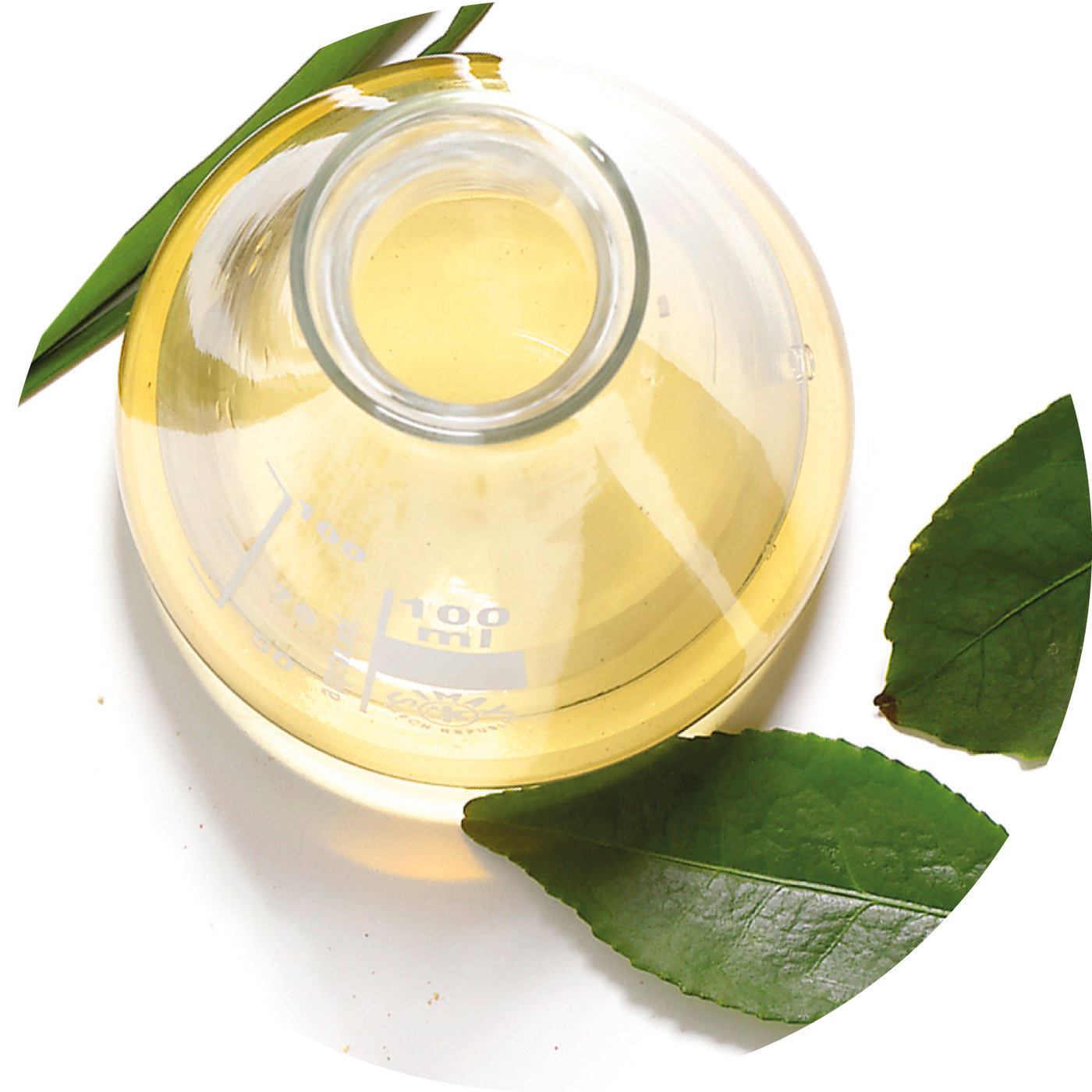 Siero Rassodante al Matcha